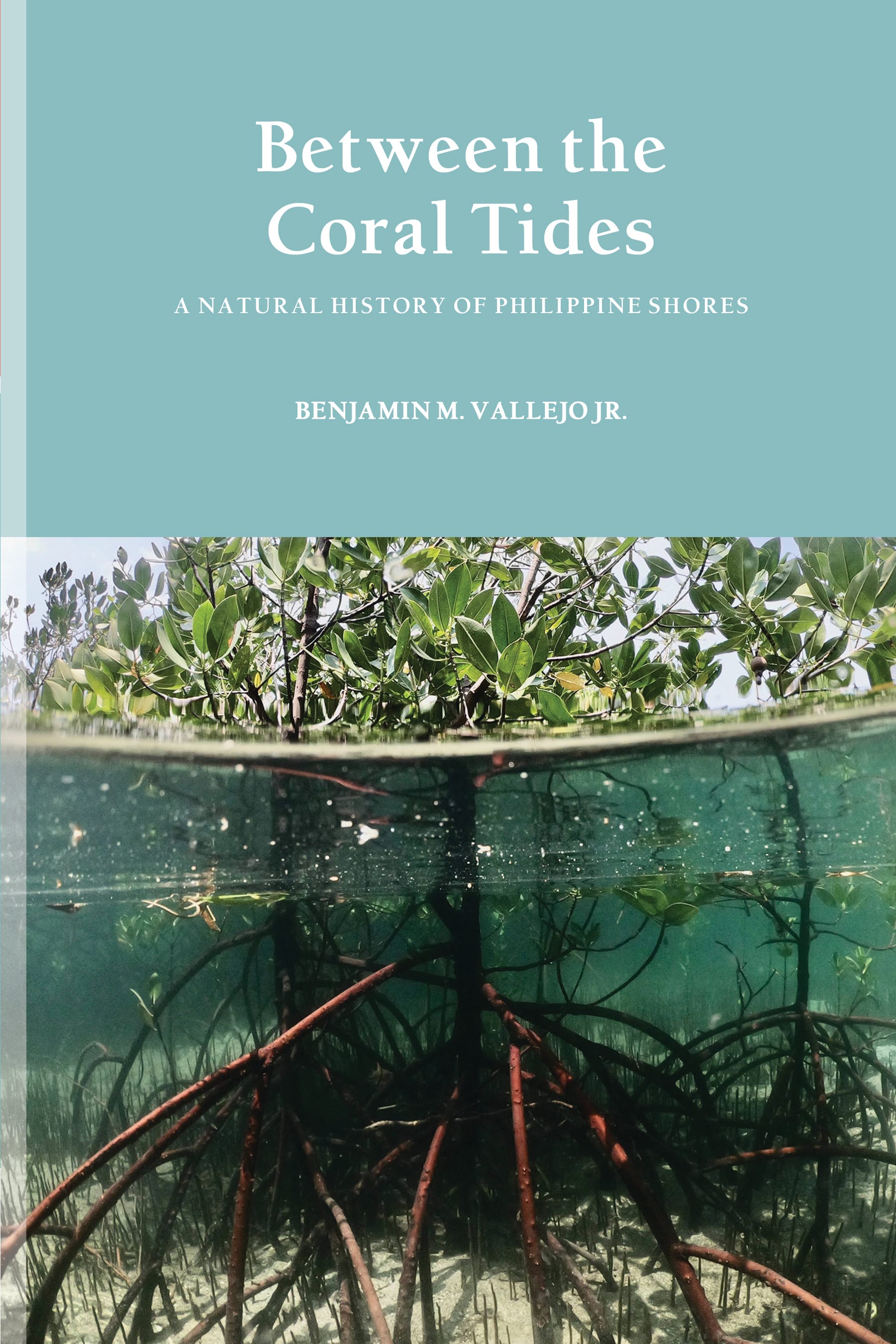 Between the Coral Tides A Natural History Of Philippine Shores | UP Press